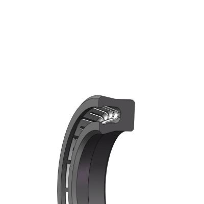 Hydraulic Seal Suppliers,Hot Sale Spring Energized Seal -jst-seals.com